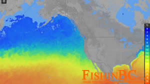 Marine Weather and Wind Forecasts - Online Resources for Anglers